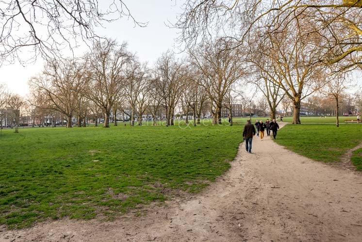 Living in Highbury | Discover the best of Highbury - London area guide