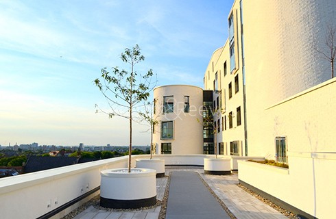 New Development to rent in Clapham - The Library Building, SW4 | Benham ...